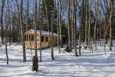 #106 10x30' Cabin W/ 10ft Porch – Maxwell Garden Centre